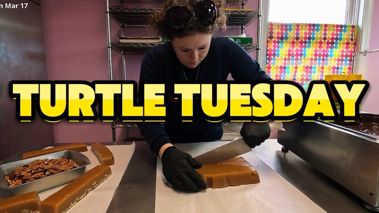 TURTLE TUESDAY - YouTube