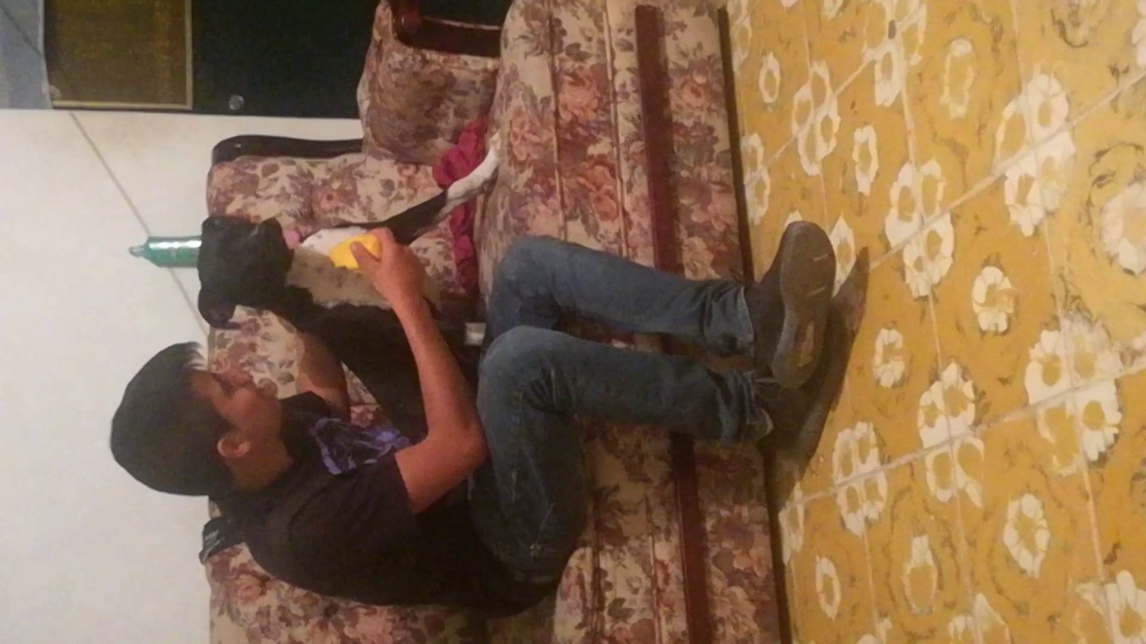 Zeus comiendo mango SAMUEL SANCHEZ - YouTube