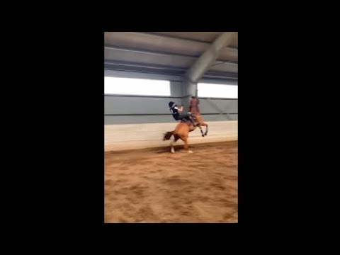 Crazy Horse Farts And Runs Off