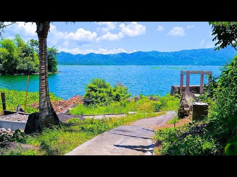 BUHI LAKE - HOME TO THE WORLD'S TINIEST EDIBLE FISH - YouTube