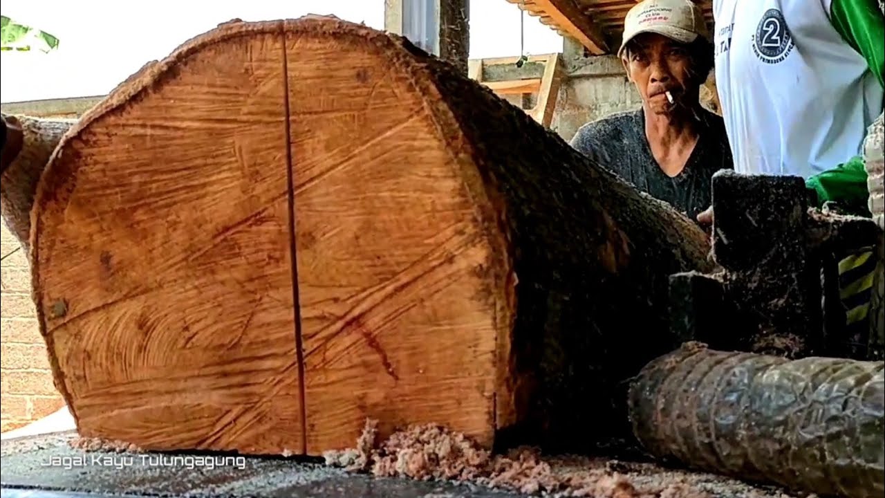 KEBERUNTUNGAN 100% !! Sawmill Kayu Durian Bahan Tongkat.. - YouTube