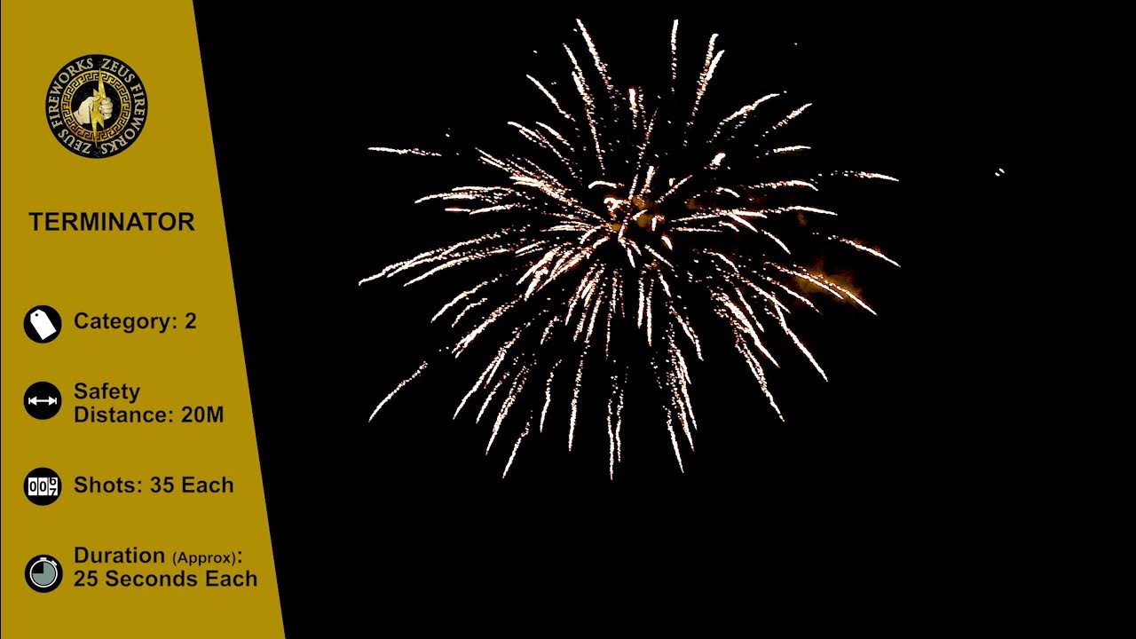 Terminator 21 - YouTube