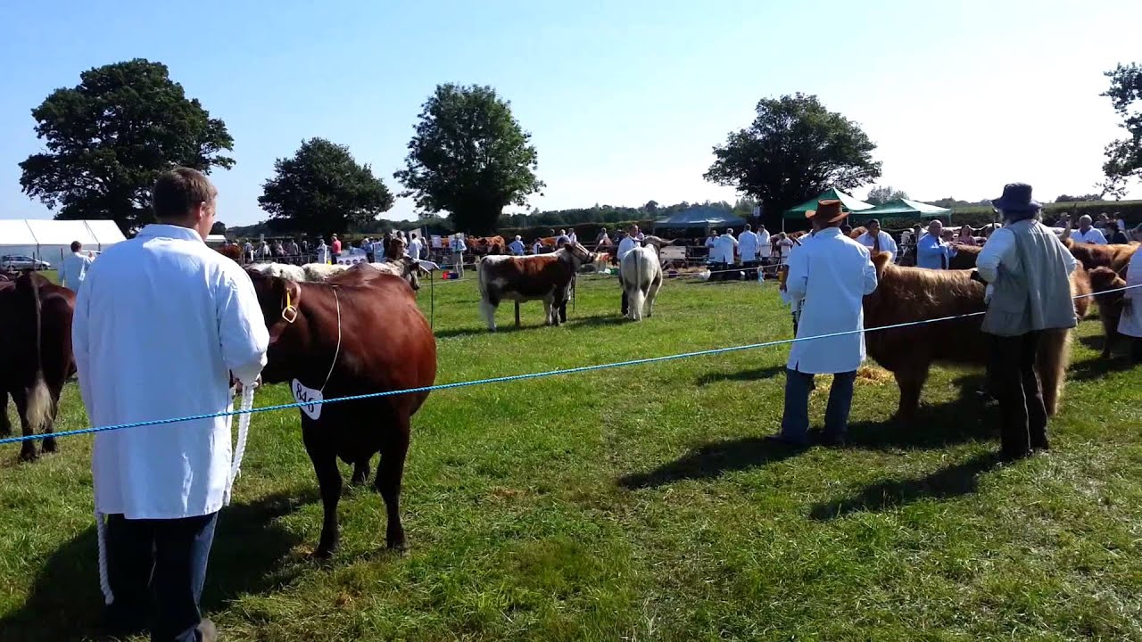 Thousands enjoy the sunshine at Shropshire's Minsterley Show - YouTube