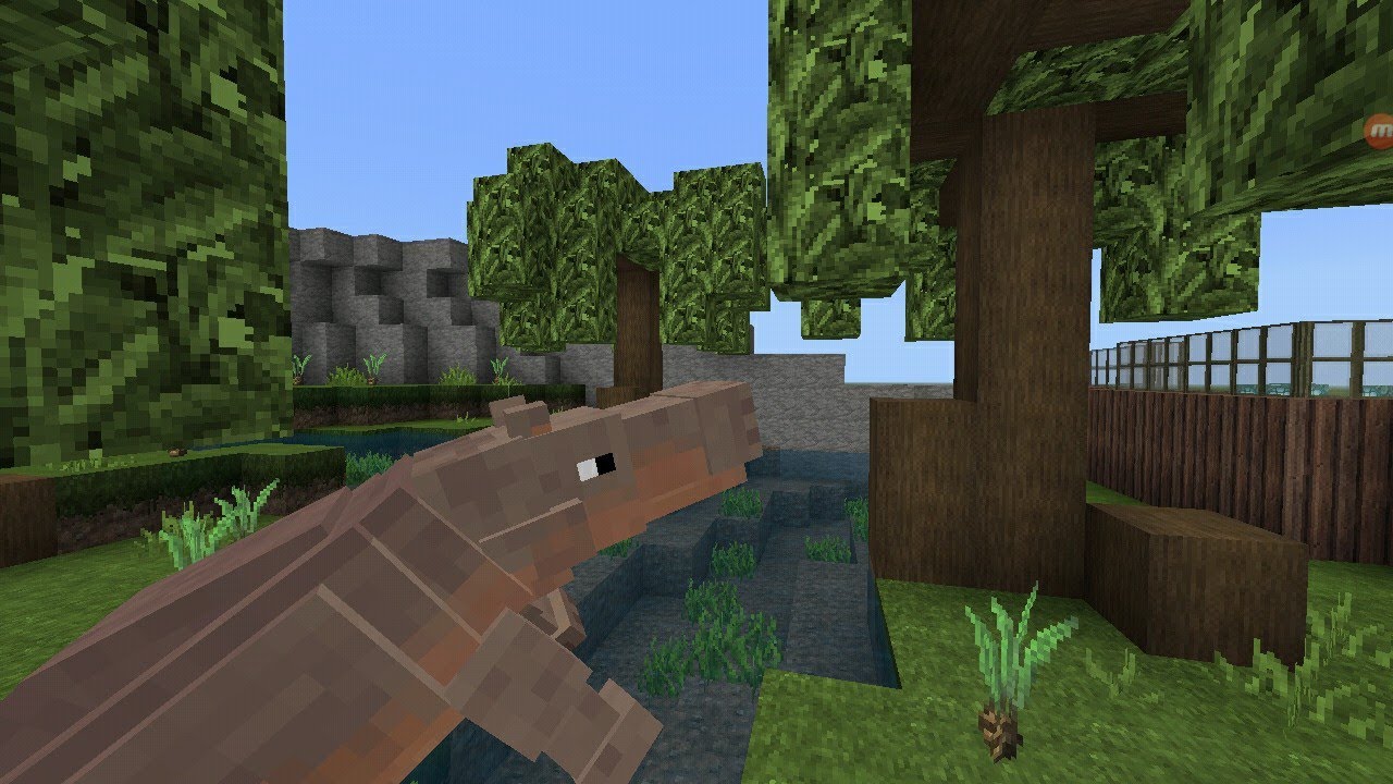Planet zoo in Minecraft ep11 - Special Guest Edition! Pygmy Hippo ...