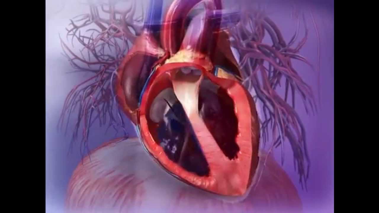 CORAZON 3D - YouTube