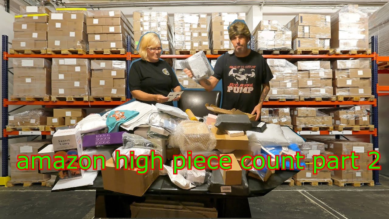 what you can expect from an amazon high piece count pallet part 2 - YouTube