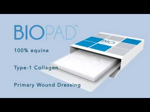 BioPad™ Wound Dressing with Collagen - YouTube