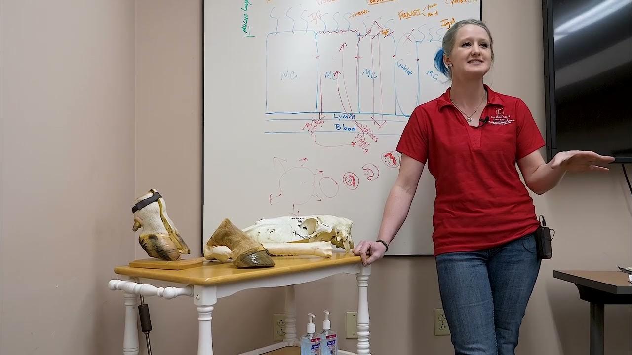 STEM in agriculture career highlight: Veterinary clinical instructor ...
