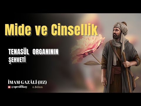 Tenasül Organının Şehveti  / İmam Gazalî (Hz) | (Sesli Kitap)