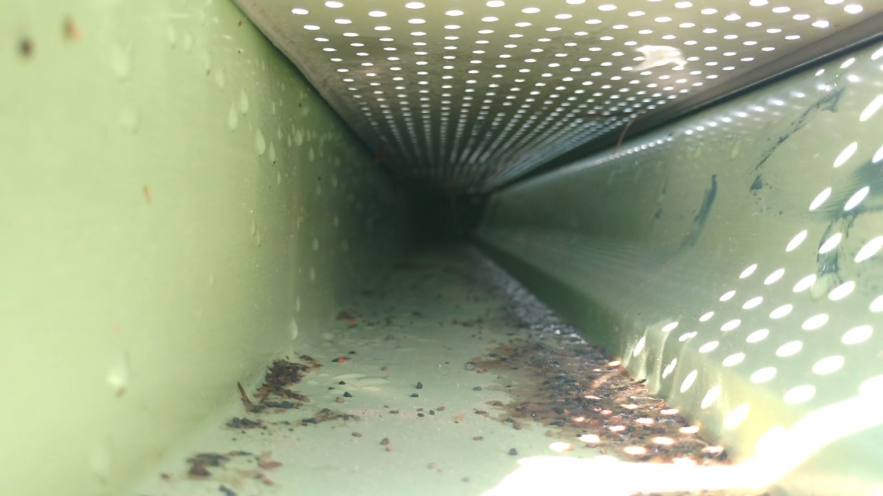 Snow VS. Leaf Releaf - YouTube