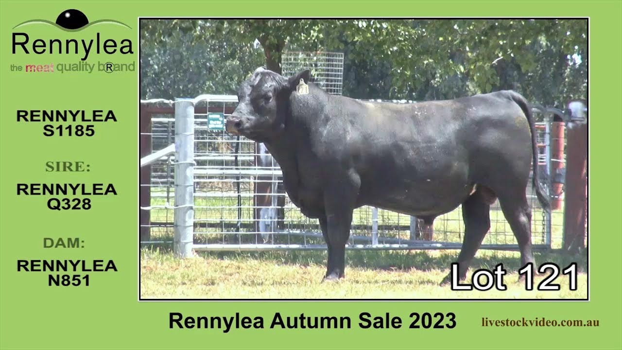 Lot 121 Rennylea March 2023 - YouTube