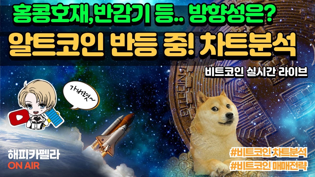 비트코인 실시간 알트코인 반등 중 차트분석 홍콩etf반감기 호재등 방향은 411 점심💎비트코인 비트코인실시간
