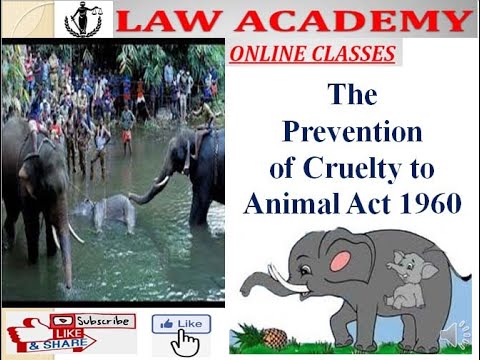LAW ACADEMY-The prevention of cruelty to animals act 1960 - YouTube