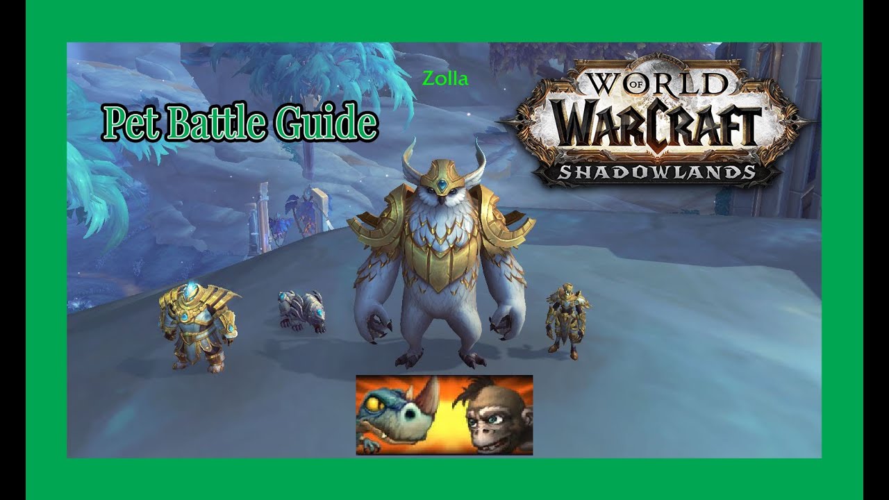 Zolla WoW Pet Battle Guide - YouTube