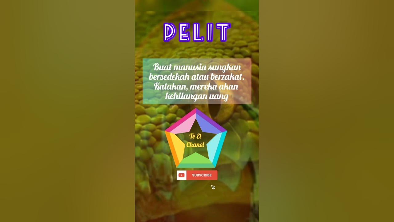 Pelit YouTube pelit-youtube