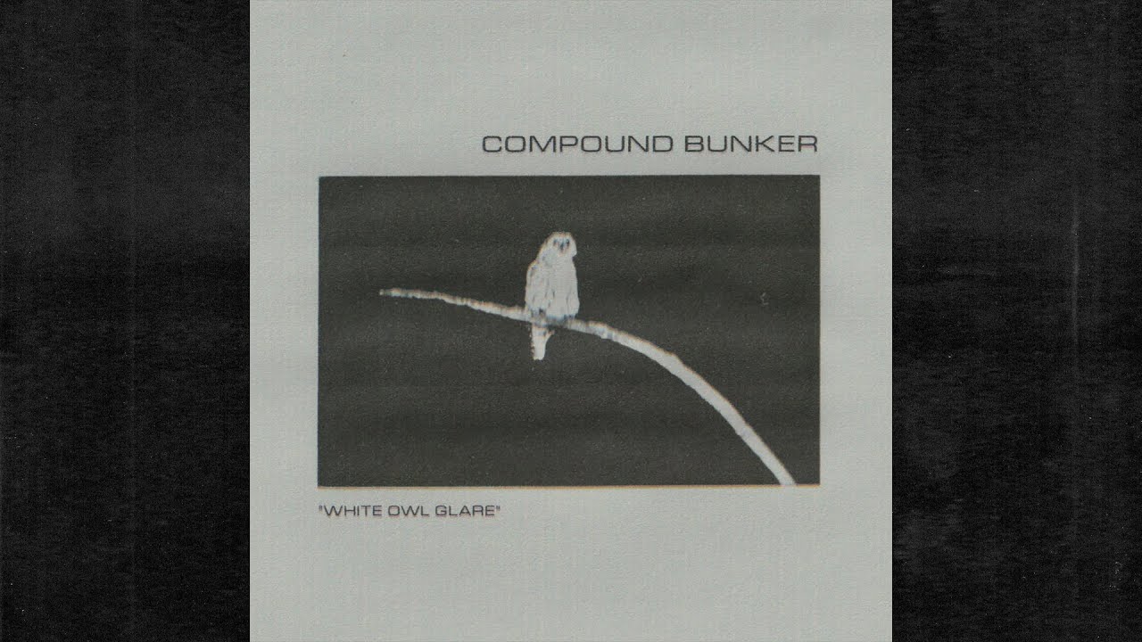 Compound Bunker - "White Owl Glare" (Cassette) 2021 - YouTube Music