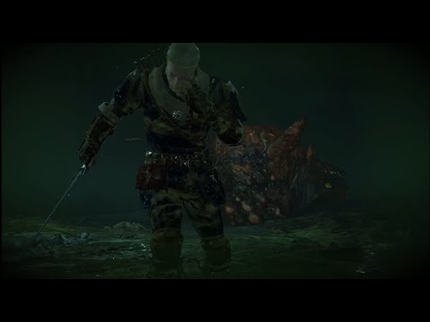 the witcher 3 the toad prince contract - YouTube