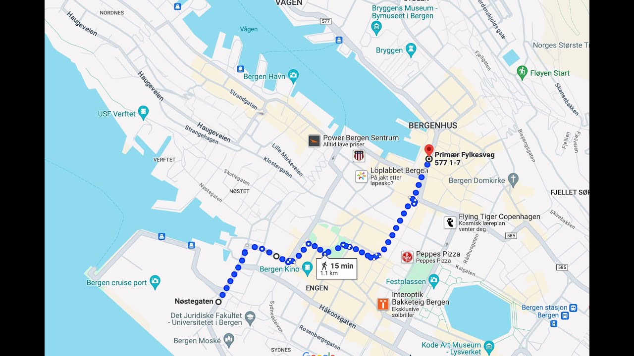 Walking tour from Bergen Jekteviksbakken Cruise port to the city