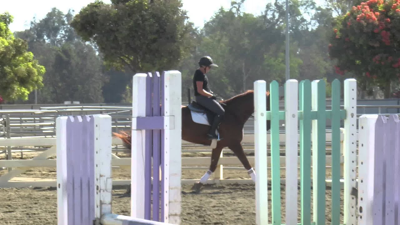 ROO- Flatwork #2 8/29/14 - YouTube