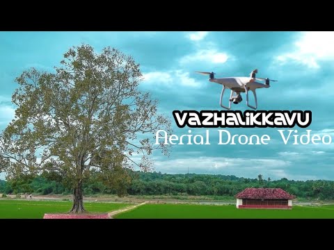 Most Beautiful Vazhalikkavu | Aerial Drone Video | NPV Creations - YouTube