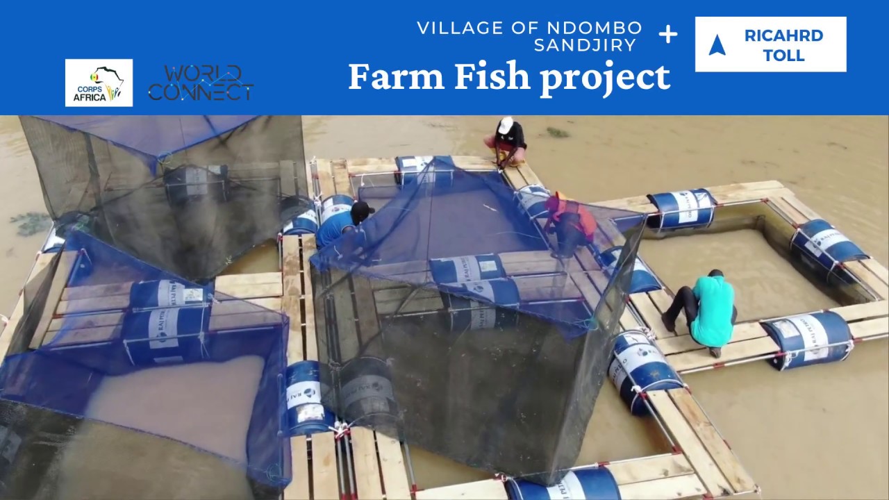 Ndombo Sandjiry Farm fishing project. - YouTube