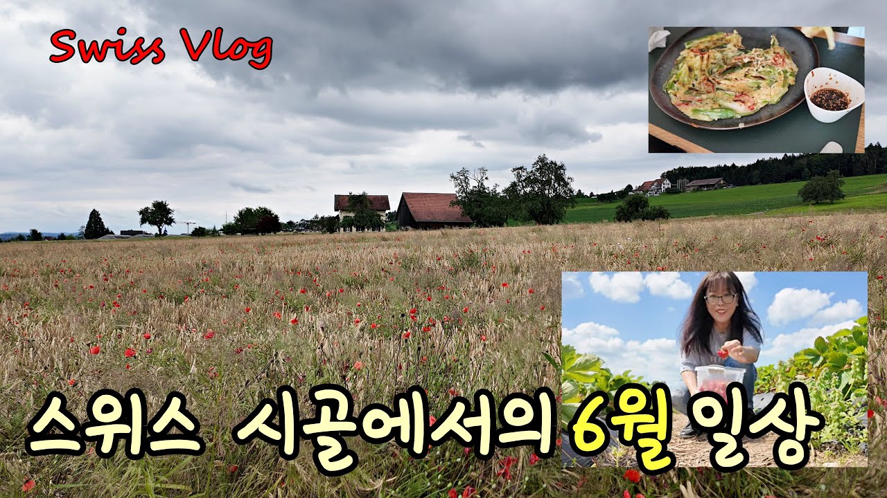 스위스 일상과 산책로 탐험swiss Vlog 스위스 취리히 칸톤의 시골마을에서 사는 아줌마의 삶 딸기따기 체험 산책하며 아름다운 자연즐기기 Youtube