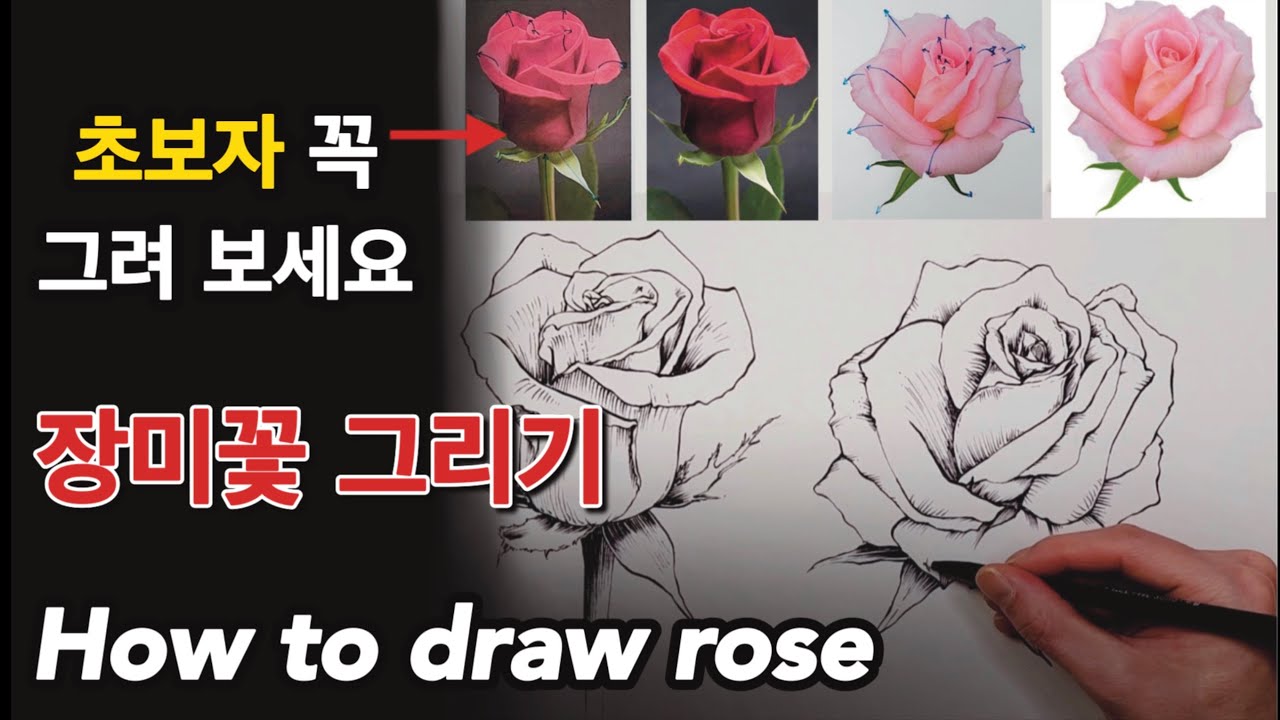 쉽게 장미꽃 그리는 방법 꽃 잘그리기how To Draw Rose 초보자를 위한 장미꽃 쉽게 그리는방법 장미꽃 그리기 Youtube