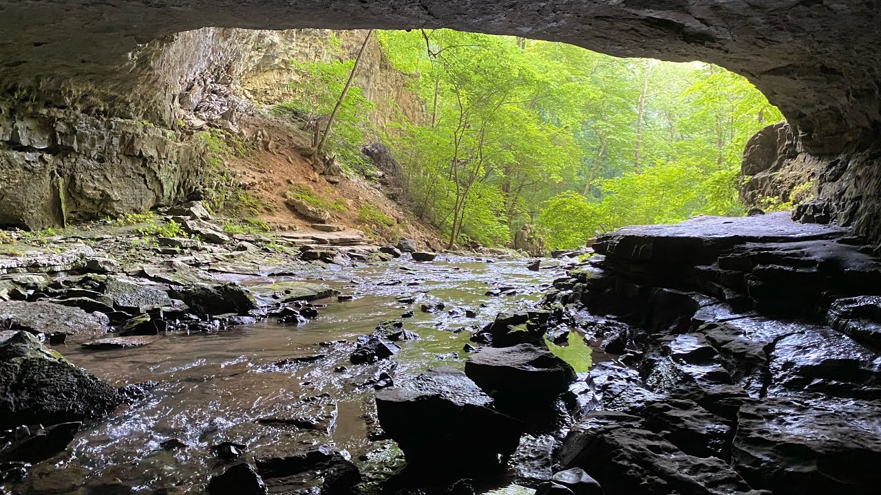 Lost Cove Cave in Sherwood, Tennessee (7/4/2024 Buggytop trail) - YouTube