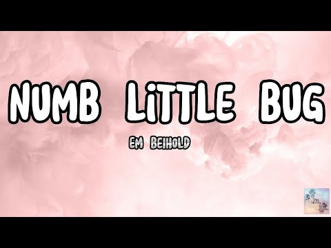 Numb Little Bug Lyrics | Em Beihold | PMmelody - YouTube