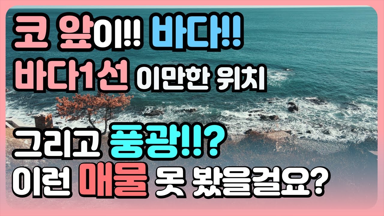 바다 앞 땅 매물 바다 앞 1선 땅 바닷가 집터 매매 바닷가 바로 앞 토지 바닷가 토지 매물 바다 땅 매매 경북 부동산 매물 바다 앞 1열 땅 좋은 바닷가 토지 바닷가땅
