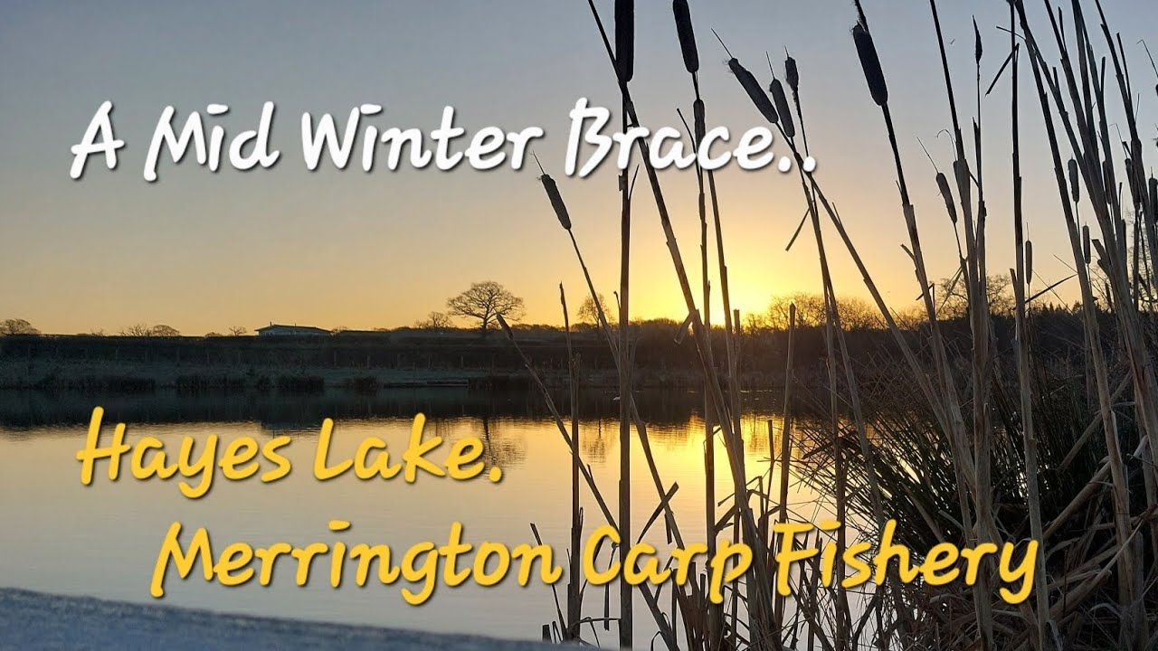 Winter Carp Fishing - Merrington Carp Fishery - Shropshire - YouTube