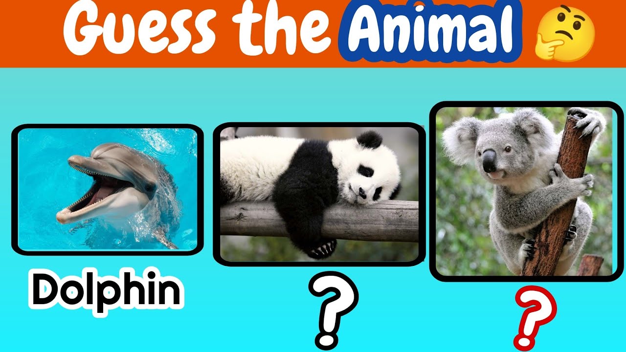 Guess the Animals | Check How your Genius | IQ Challenge | Guess Quiz ...
