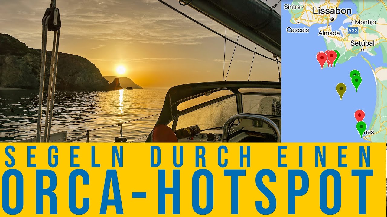 Orca-Hotspot: Segeln an Portugals Küste auf der 20m Tiefenlinie (2024) - YouTube
