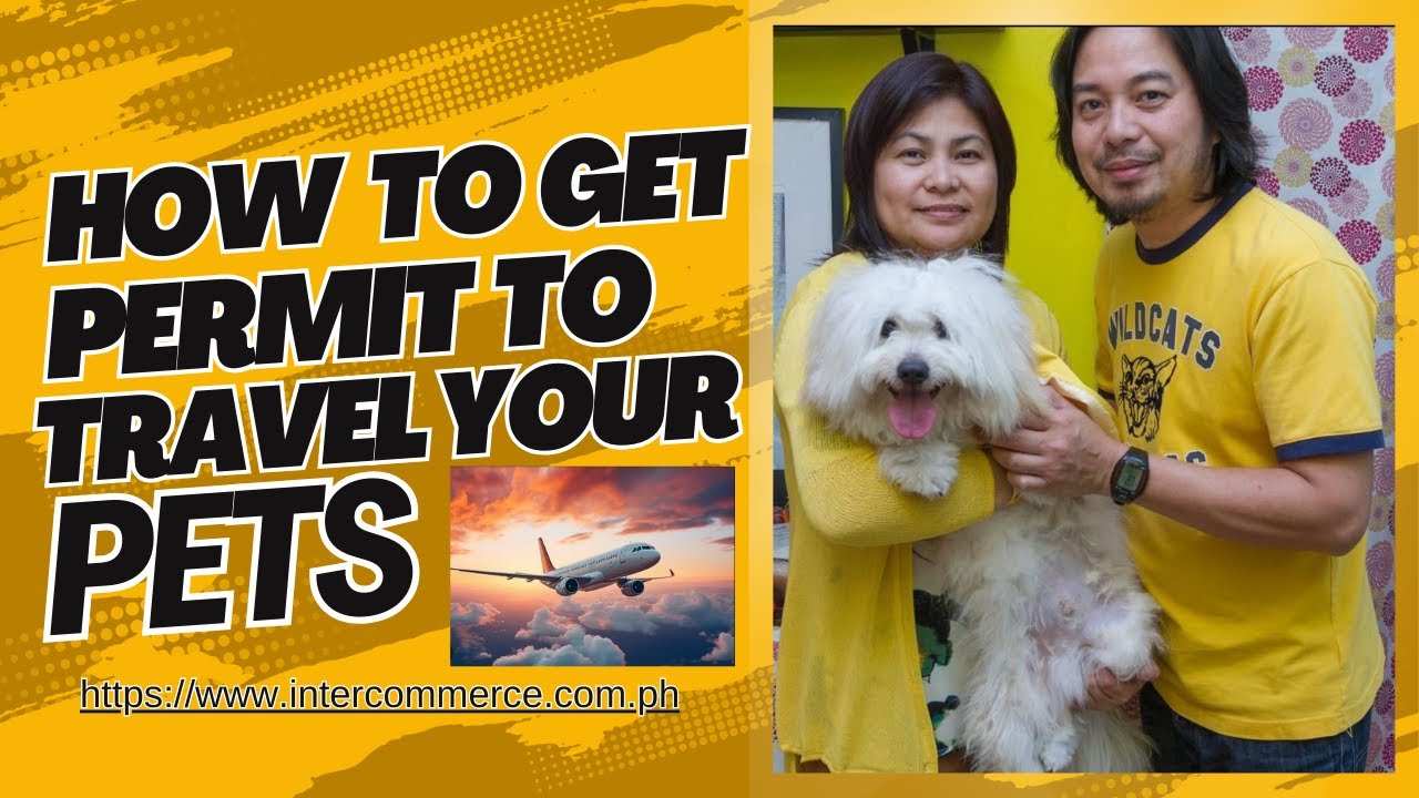 How to apply permit to carry online your pets in BAI application - YouTube