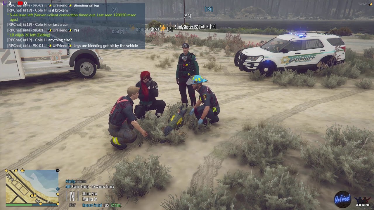 GTA V Roleplay/RP FiveM | Dog need ems rp - YouTube