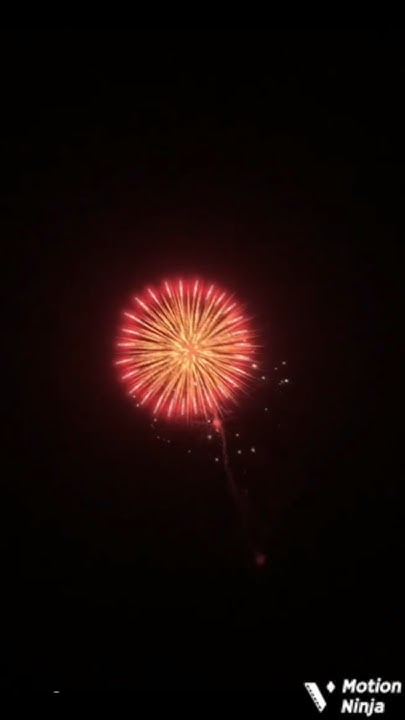Beautiful Firecracker 💥🧨#firecracker #fireworks #happynewyear #newyear #shorts #trending - YouTube