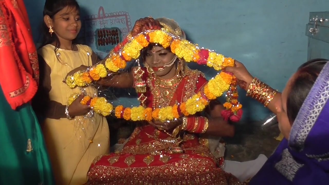 Sadi closeup video |bharat gav darshan'' - YouTube