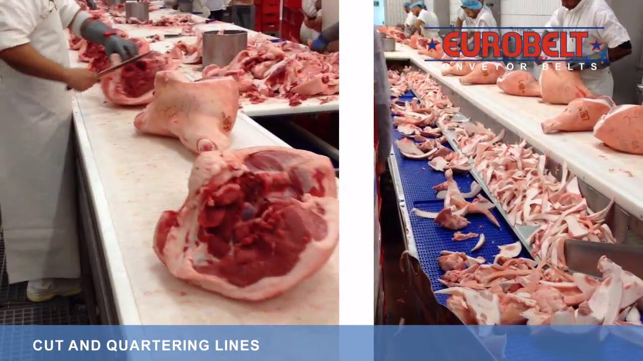 Eurobelt Meat Cut and quartering lines - YouTube