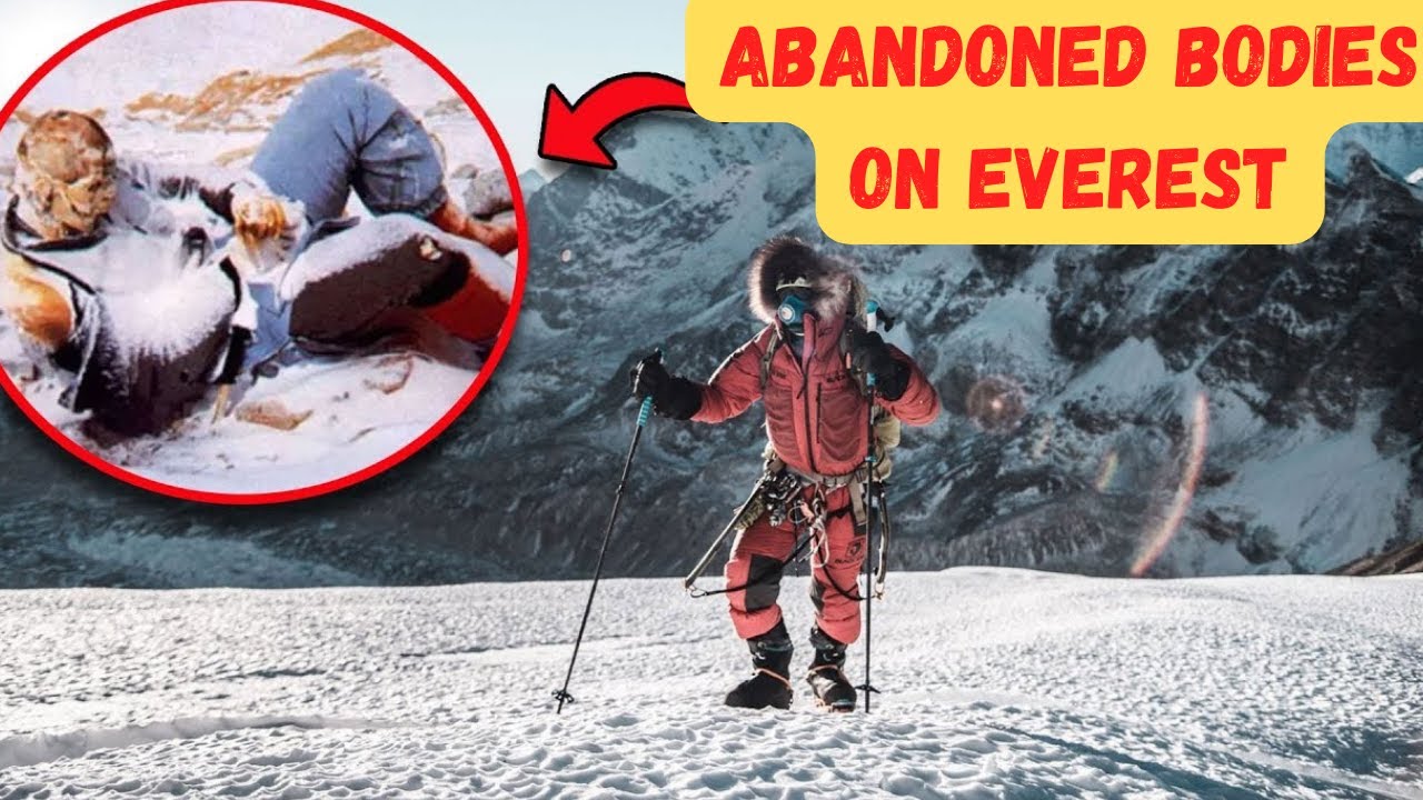 Why is going to Everest the most dangerous thing in the world?The ...