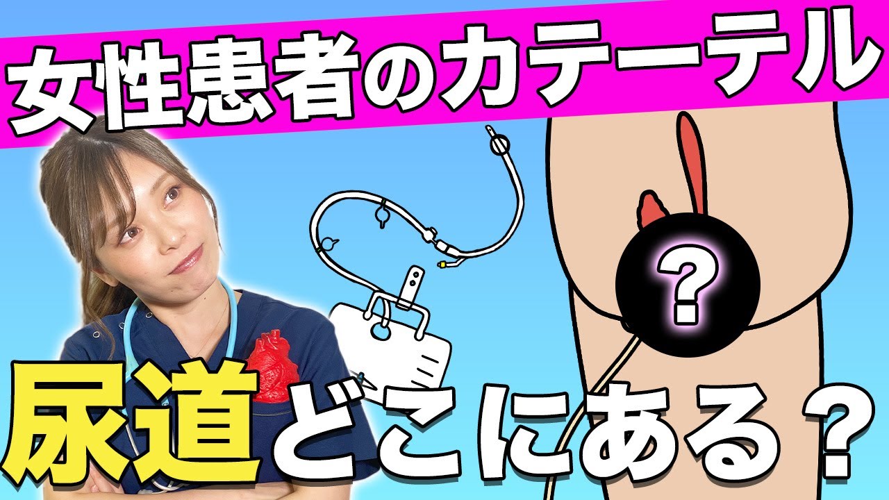 膣?尿道?実は看護師も見分けるのが大変な女性のカテーテル事情 Youtube