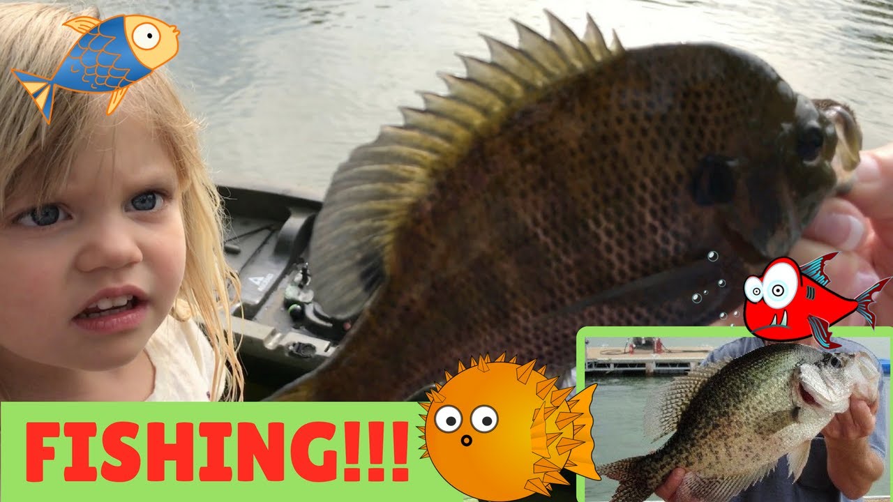 Little Girl Catches Big Fish!!! 🐟🐟🐟🐟🎣🎣🎣 - YouTube