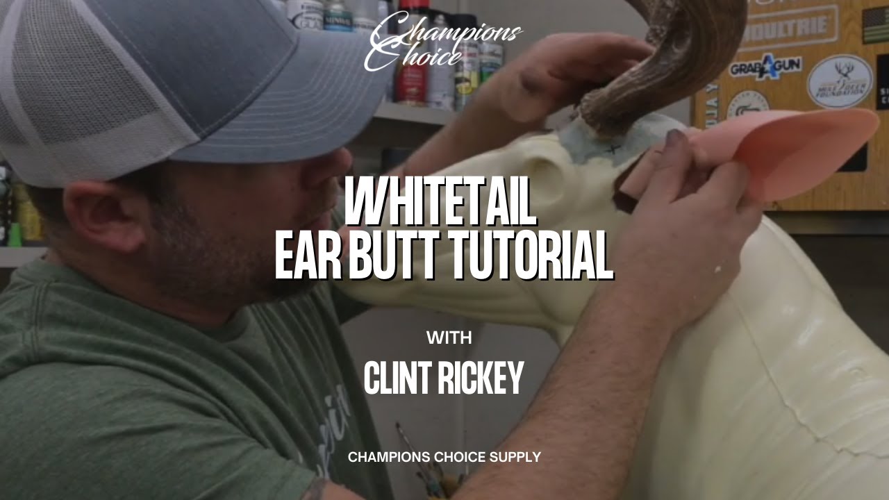 A How to Whitetail Ear Butt Taxidermy Tutorial - YouTube