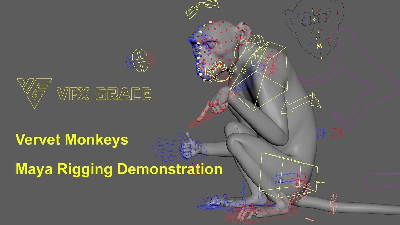 High-Quality Vervet Monkeys Binding Demonstration #maya #animal #vfx # ...
