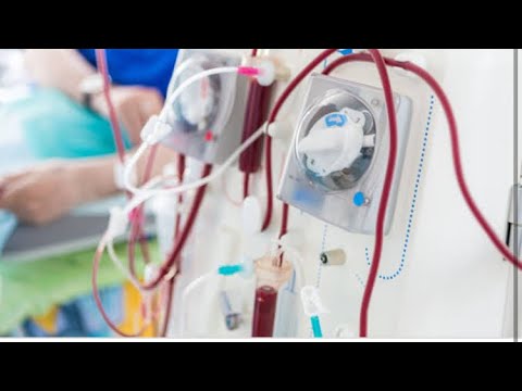 Hemodiálise em 2022 ainda vale a pena?| Aprenda Nefrointensivismo ...