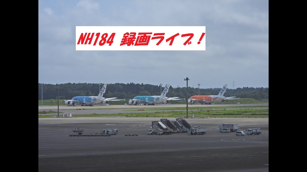 フライングホヌ☆NH184便☆11/30/2022 - YouTube