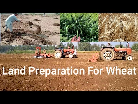Land Preparation For Wheat | Best Wheat Sowing Method, Ploughing, Soil ...