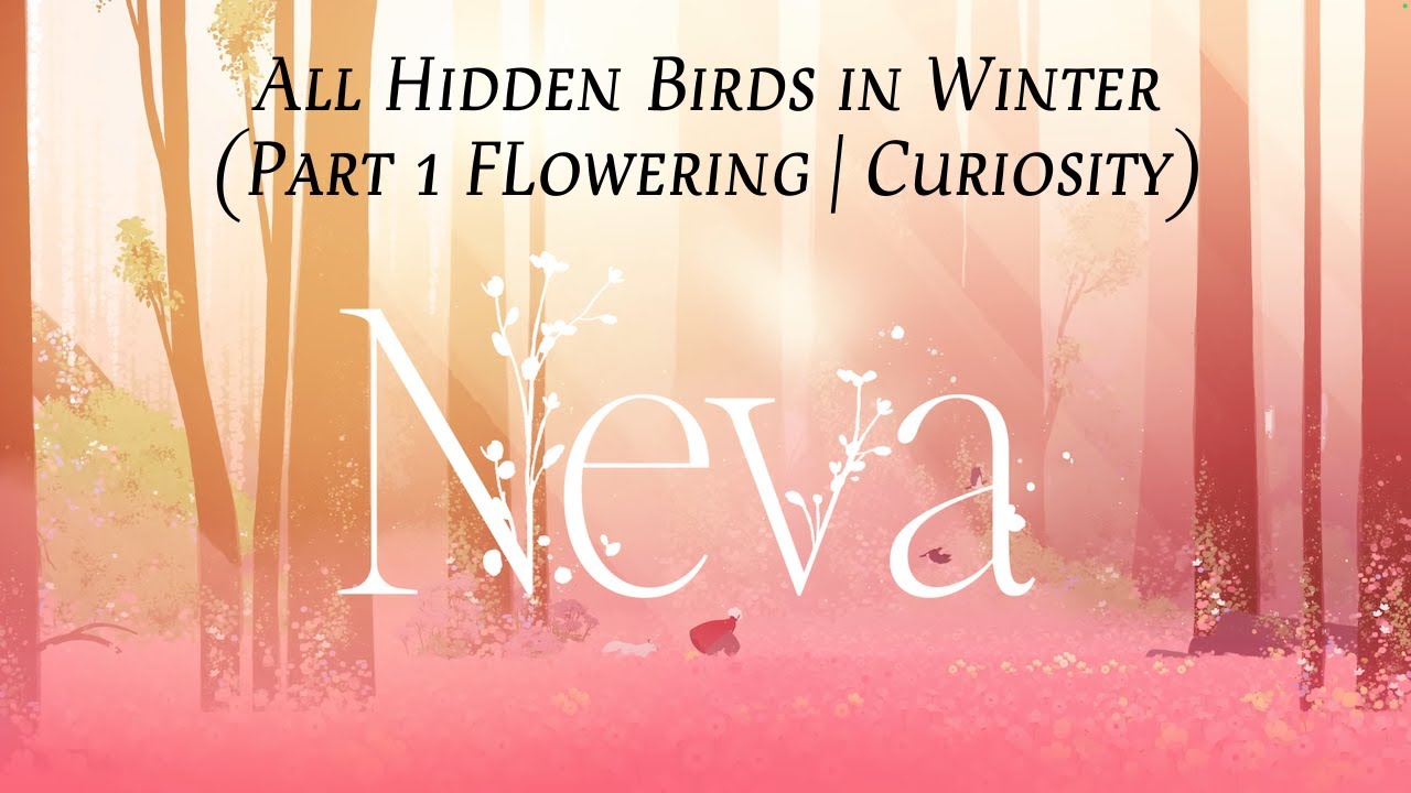 Neva All Hidden Birds | Winter Part 1 | Curiosity - YouTube