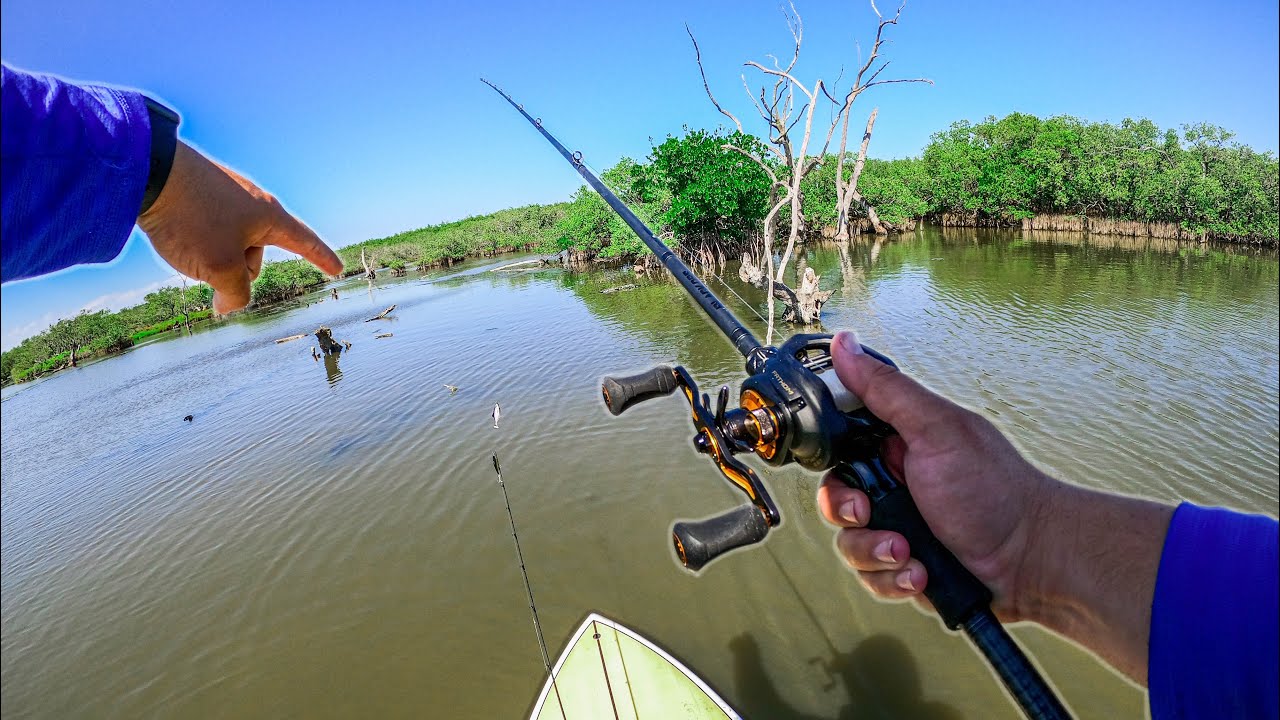 Extreme Shallow Water Sight Fishing & Dam Fishing - YouTube