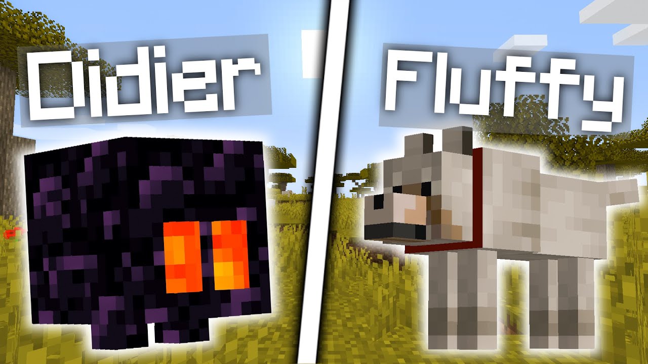 Qui de DIDIER ou FLUFFY est le plus intelligent ? (Fiouze III) - YouTube