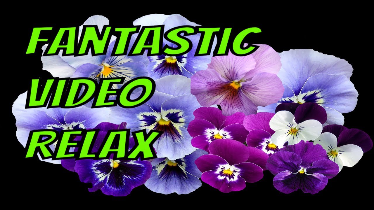 Fabulous video for relaxation and meditation - YouTube